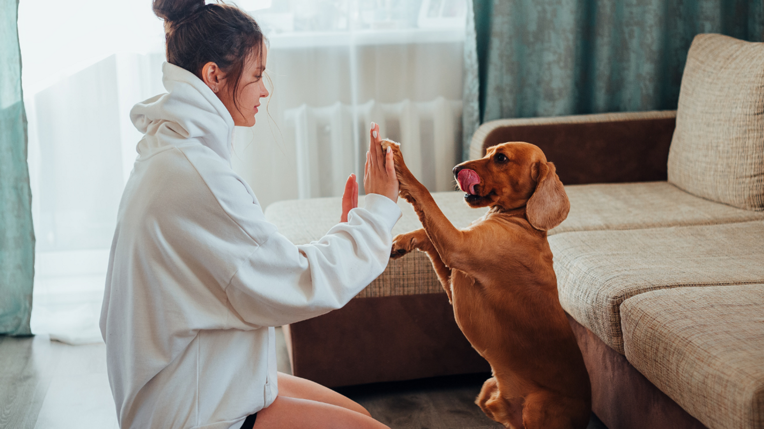 Czip dla psa oznacza kłopoty dla właściciela