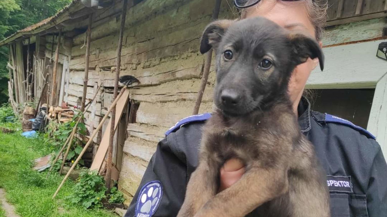 Krośnieński OTOZ Animals apeluje o wsparcie. Potrzebna jest przede ...